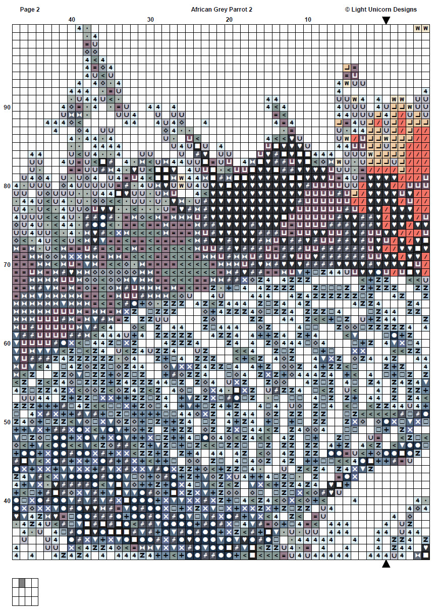 African Grey Parrot 2 - Cross Stitch Pattern - Instant Download 3